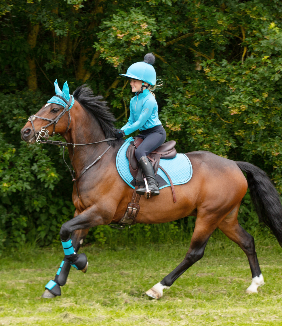 HY Equestrian | Affordable Horse & Rider Gear – GS Equestrian