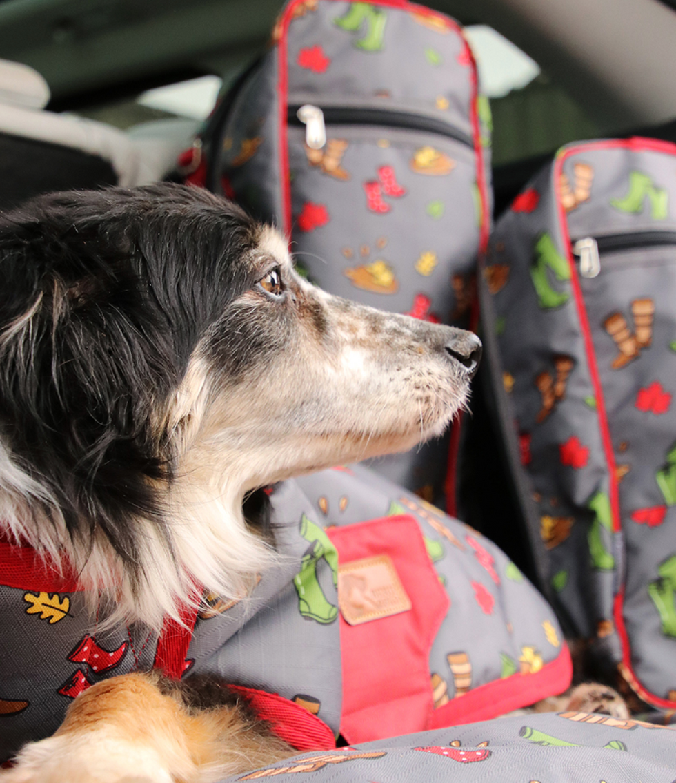 HY Equestrian Riding and Horse Equipment | GS Equestrian