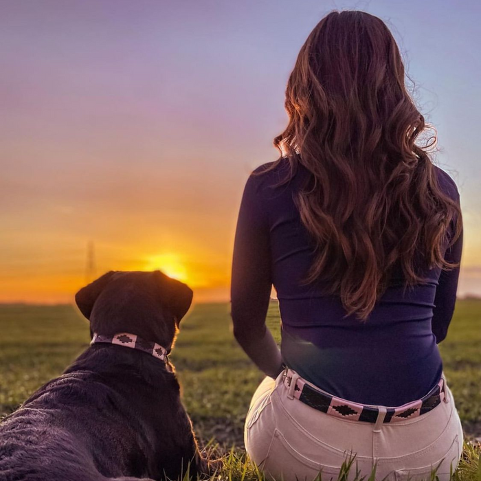 Pampeano | Luxury Leather Belts, Leads & Collars – GS Equestrian