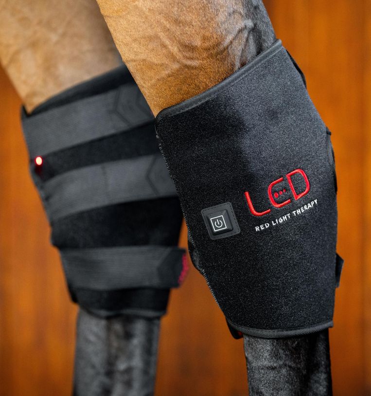 Horseware Ireland LED Red Light Therapy Hock Boot – GS Equestrian