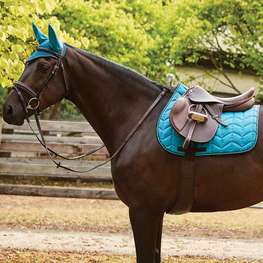 Collegiate Anatomic Girth – GS Equestrian
