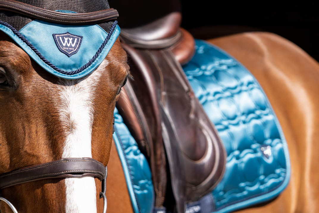 Woof Wear Hoof & Leg Care, Clothing & Saddle Pads – GS Equestrian