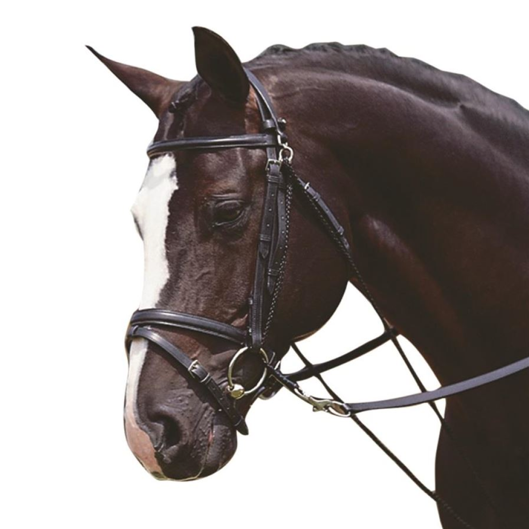 Kincade De Gogue – GS Equestrian