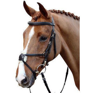 Hkm equestrian store