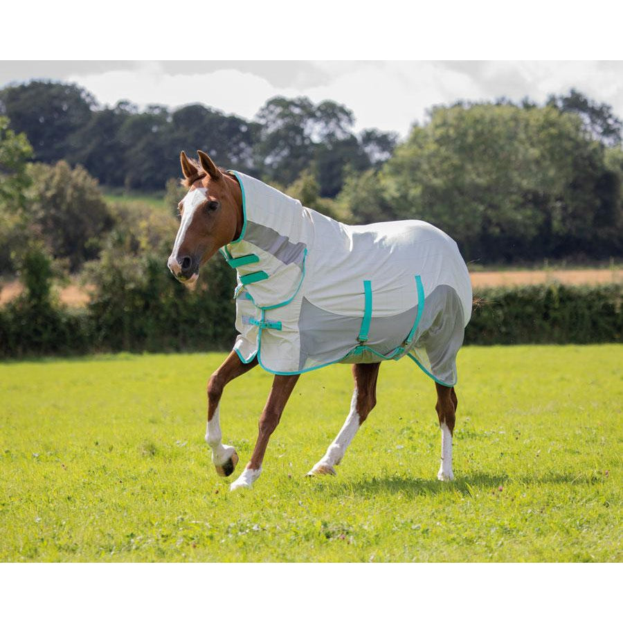 Shires Tempest Original Summer Shield with Mesh – GS Equestrian