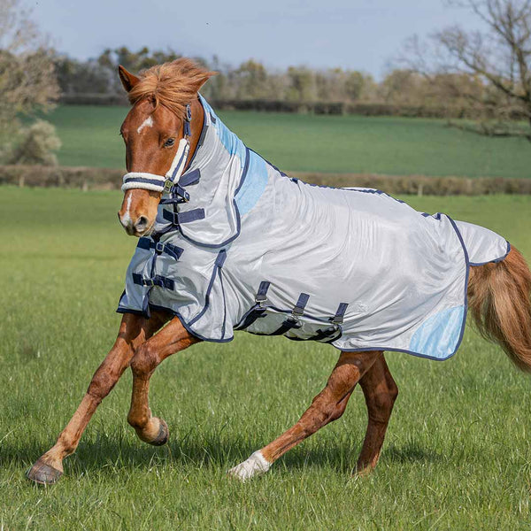 Fly Rugs, Summer Sheets & Hybrid Rugs | GS Equestrian