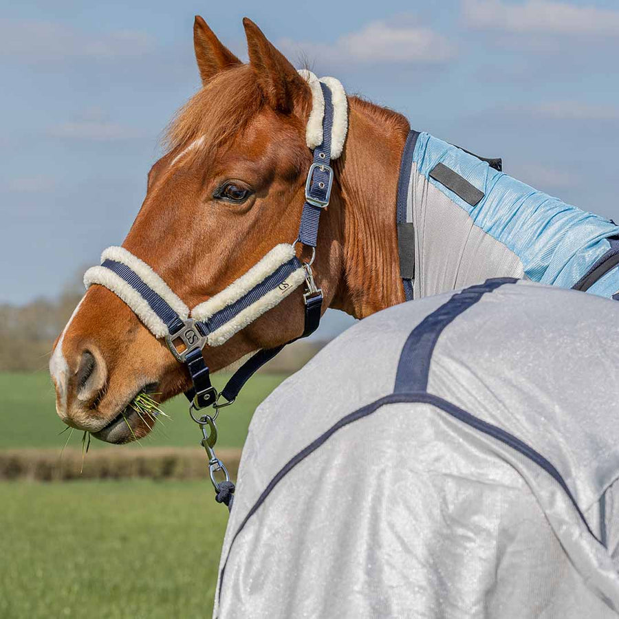 Fly Rugs, Summer Sheets & Hybrid Rugs | GS Equestrian
