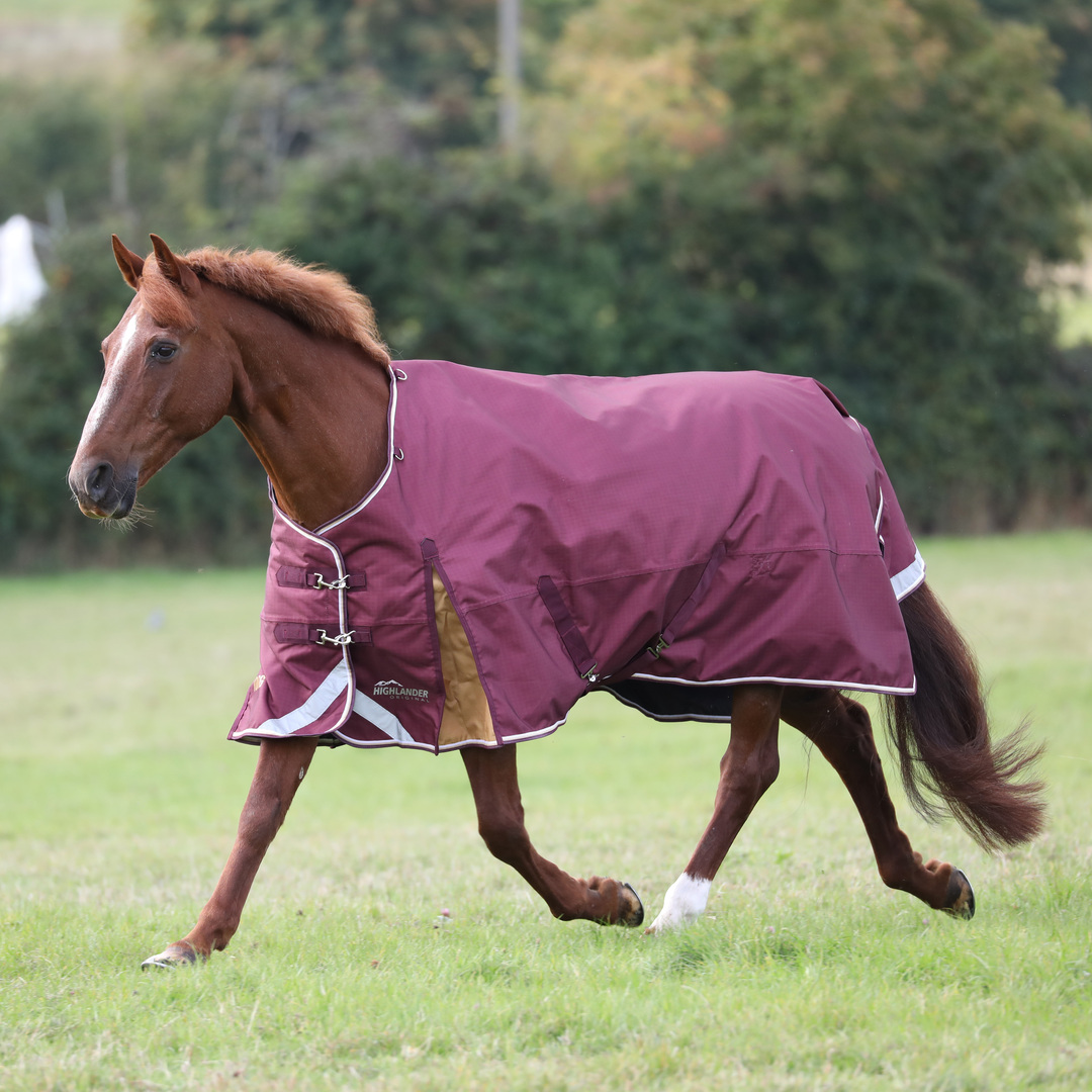 Shires Highlander Plus 100g Turnout Rug – GS Equestrian