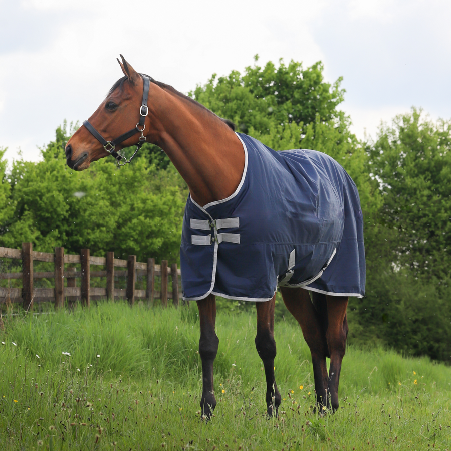 Horse Rugs | GS Equestrian & Country